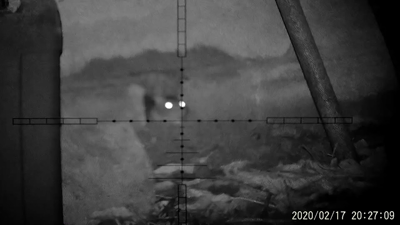 17 February 2020 - YouTube