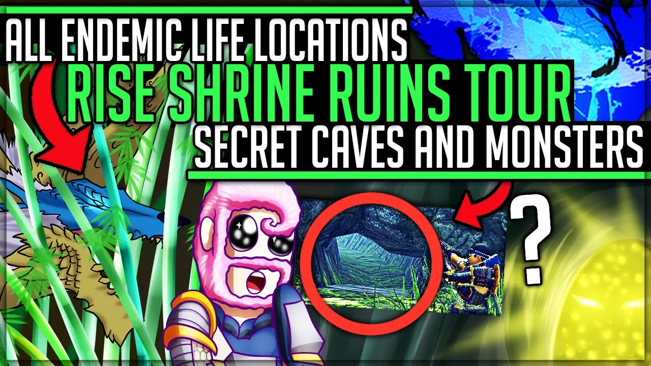 Shrine Ruins New Map - Secrets/Hidden Caves/Tour/Zinogre/Breakdown ...