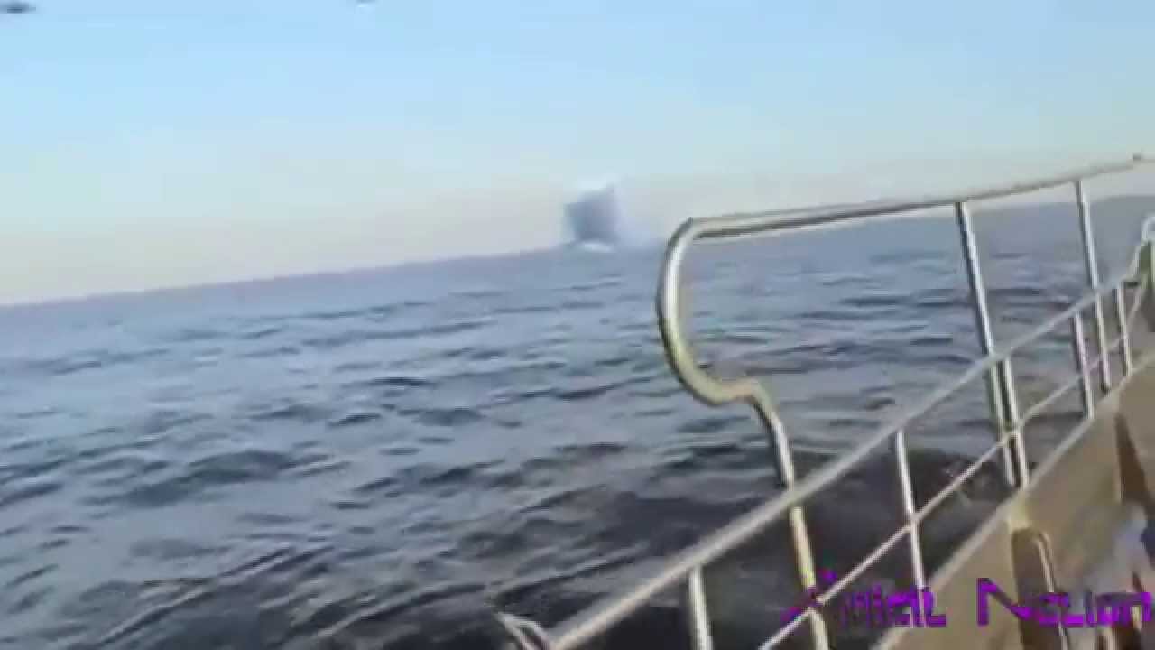 UFO Ocean Sighting Caught On Camera 2015 HD Alien Crash Landing! - YouTube