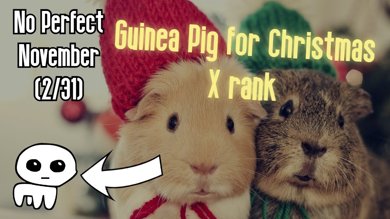 Quaver - Guinea Pig for Christmas X rank - YouTube
