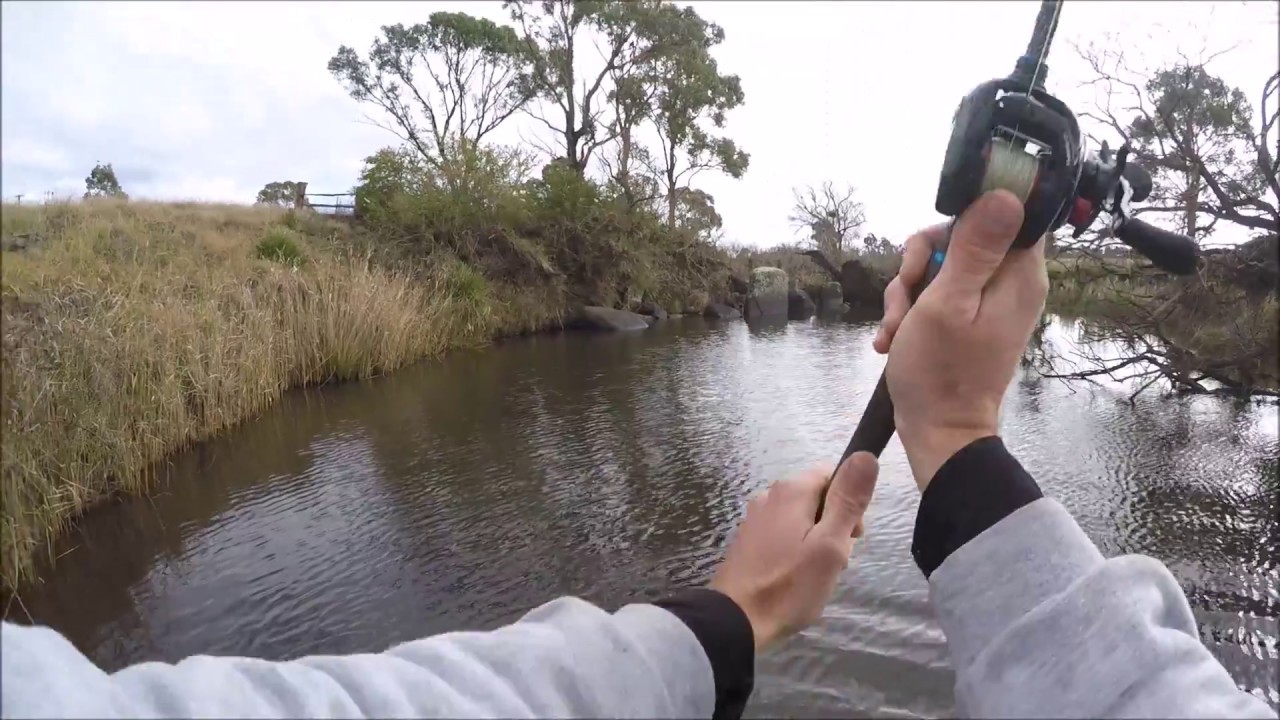 Kayak Fishing For Murray Cod - YouTube