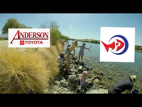 Pond Hopper Nation Lake Havasu Children's Fish Day - YouTube