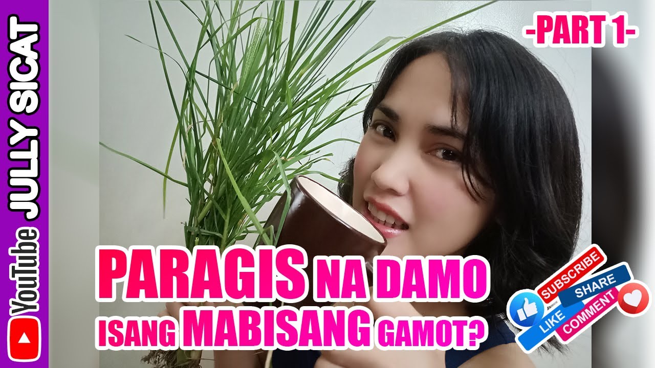 DAMO NA PARAGIS ISANG NAPAKABISANG GAMOT? PAANO ANG PAGGAWA NG PARAGIS ...