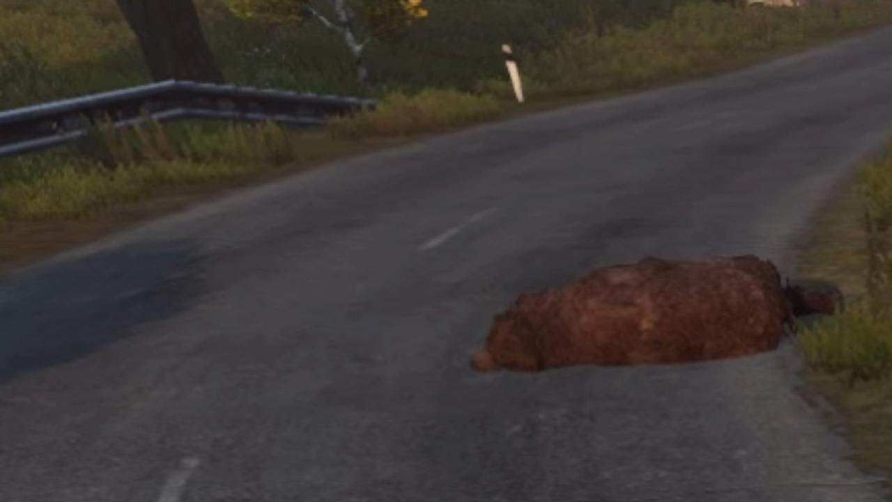 erm.. what the sigma - YouTube