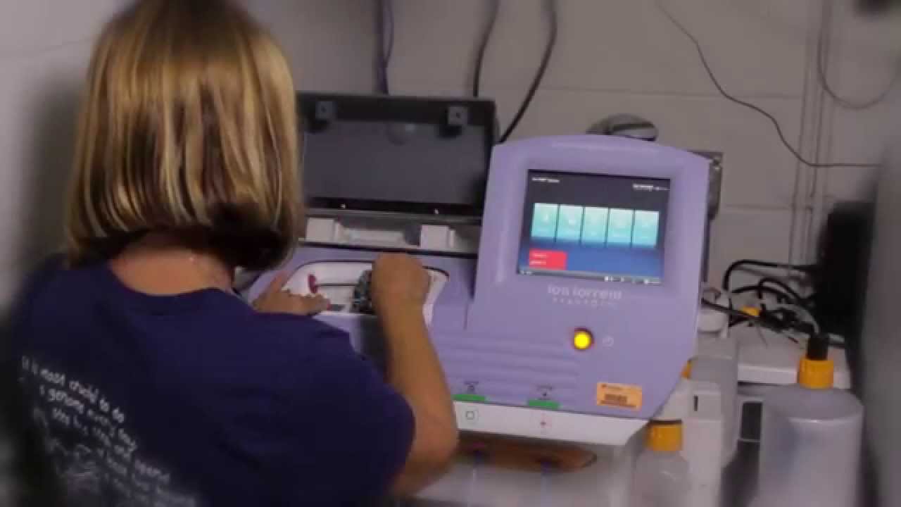 The Whitney Laboratory for Marine Bioscience, University of Florida ...