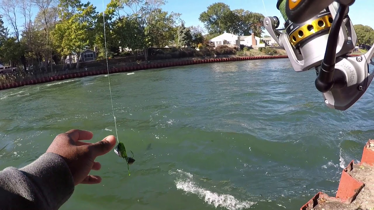 Tog Fishing Trip - YouTube