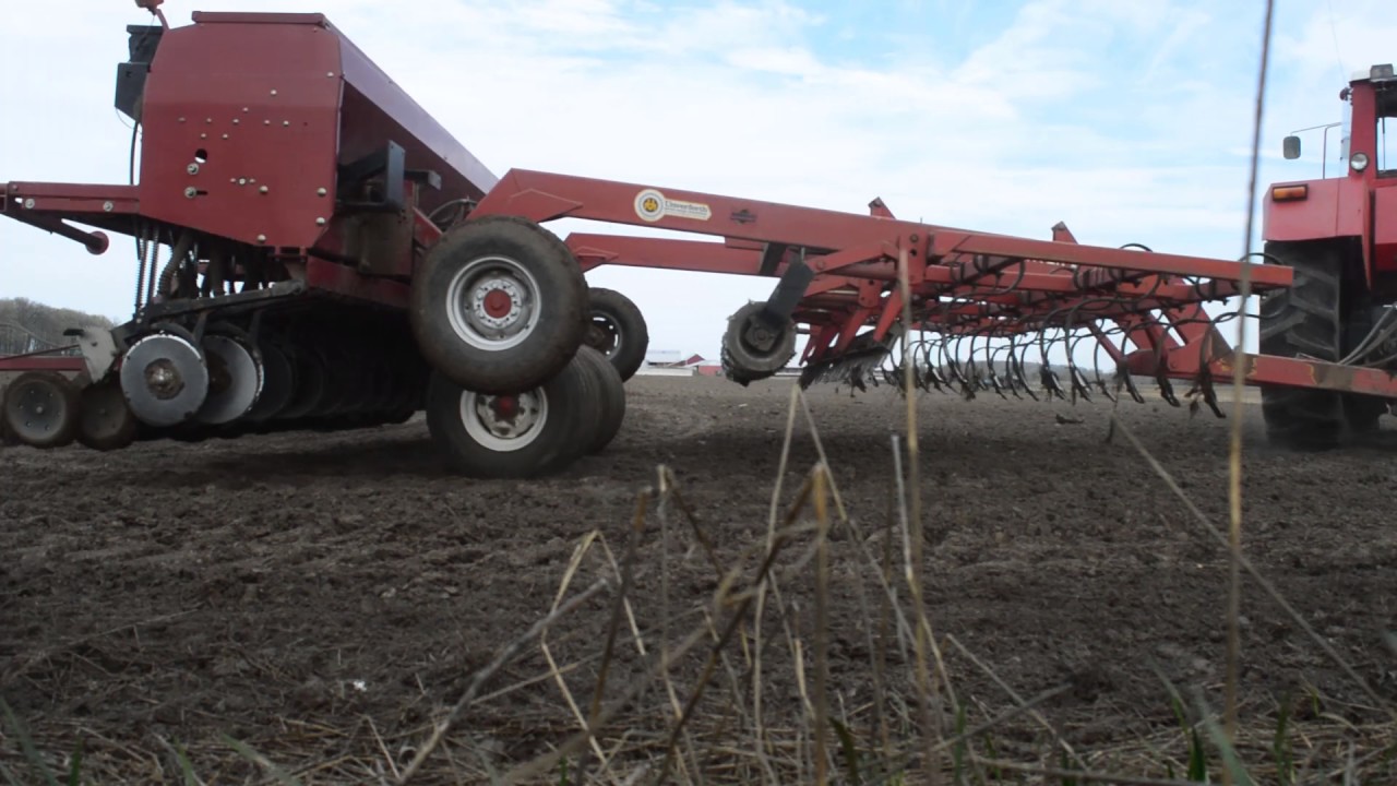 Steyr 8160 bei der Arbeit - YouTube