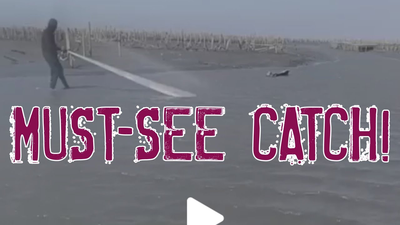 Fishing with the World's Biggest Lure – A Must-See Catch! 🎣🐟🔥 - YouTube