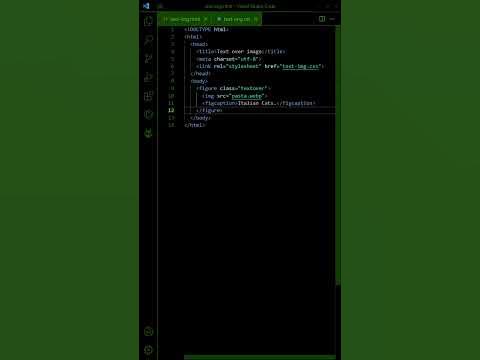 Place Text Over Image In HTML CSS - YouTube