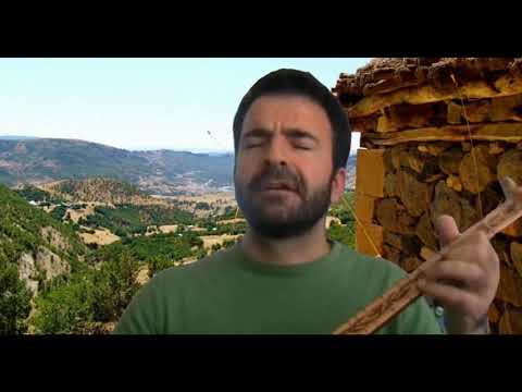 Yaşar Tan - Sonsuz acıların adı Aşk mıdır?