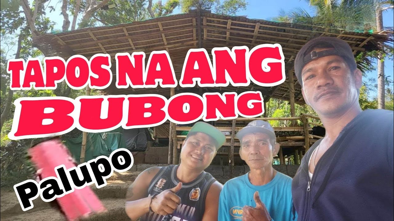 TINAPOS NAMIN YONG BUBONG AT PAMIMILI NG PALUPO SA BOUNDARY - YouTube