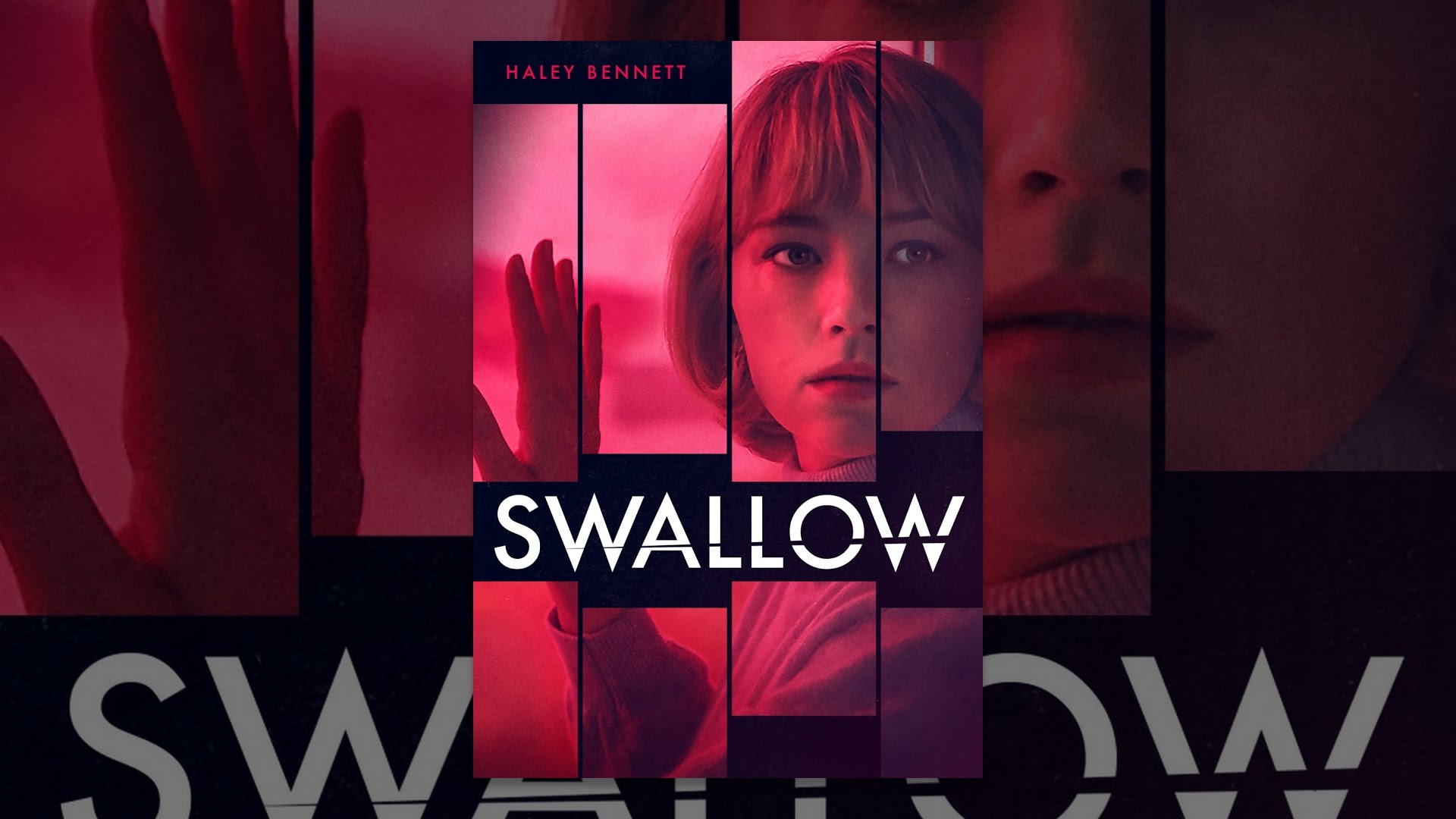 swallow-youtube