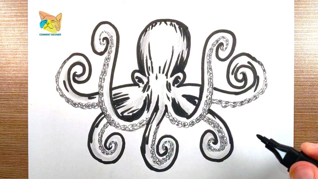 Dessin De Monstre Marin La Fabuleuse Histoire Des Monstres Marins