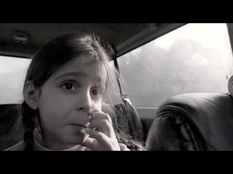 Kako su me ukrali Nemci (2011)