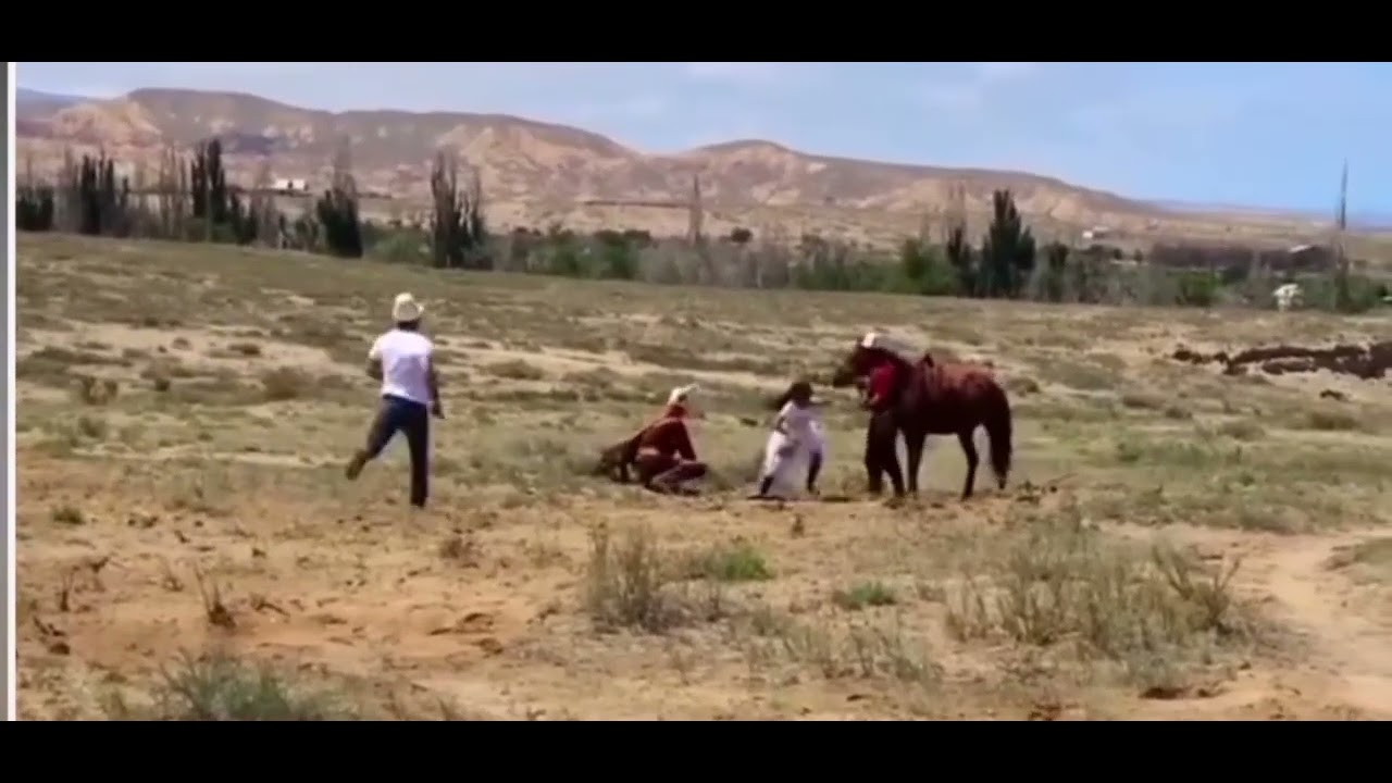 Maajabu ya ndege Tai alazimisha kuruka na mtoto wa miaka 8 - YouTube