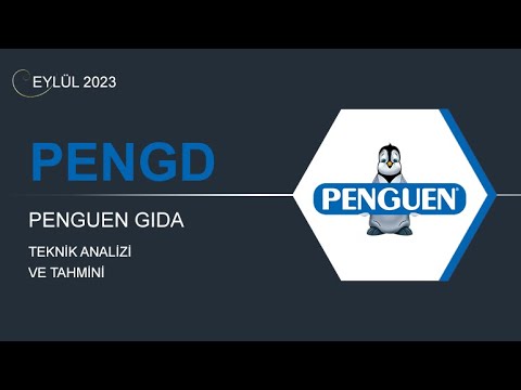 15 EYLÜL 2023 - PENGUEN GIDA TEKNİK ANALİZ