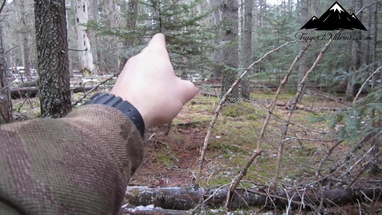 Setting Bobcat Set - Checking Traps 2018 - 2019 Season 12.14.18 - YouTube