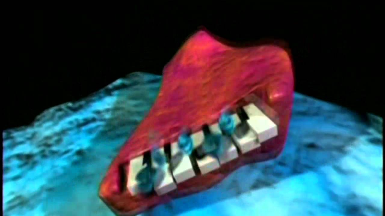 Poco Loco Gang - Come Along - YouTube