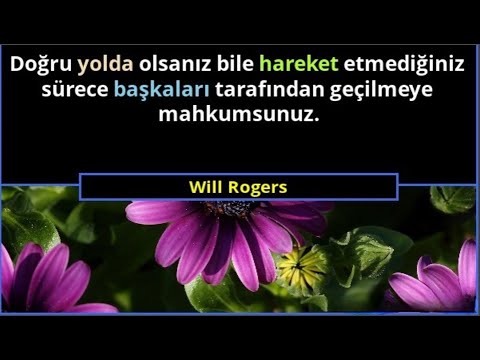 Yarı Yolda Bırakmak Diye Bir şey Yoktur . Yol Orada Bitmiştir -  La Edri Anlamlı Felsefi Sözler