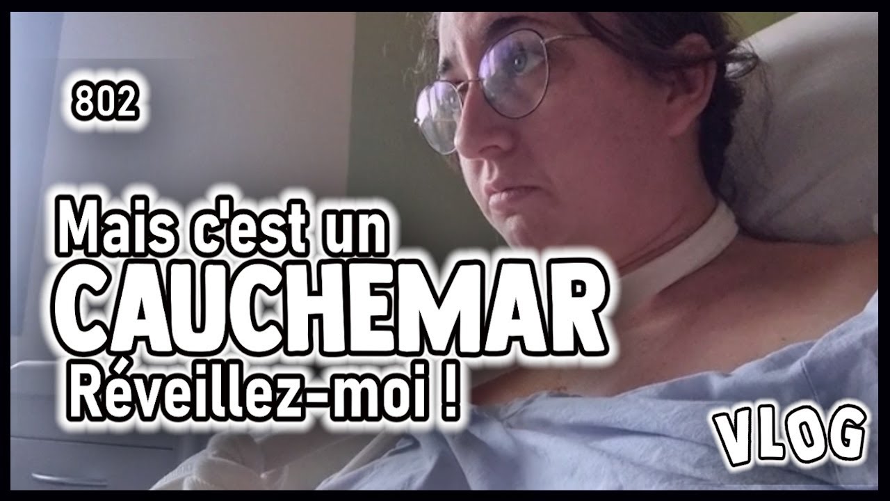 VLOG 802 - LE CAUCHEMAR CONTINUE // LaMimi'sFamily - YouTube