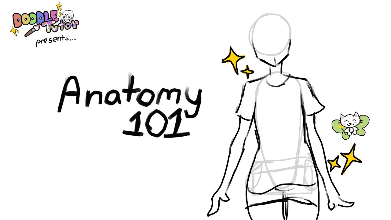 How to do Anatomy -- Anatomy 101 - YouTube