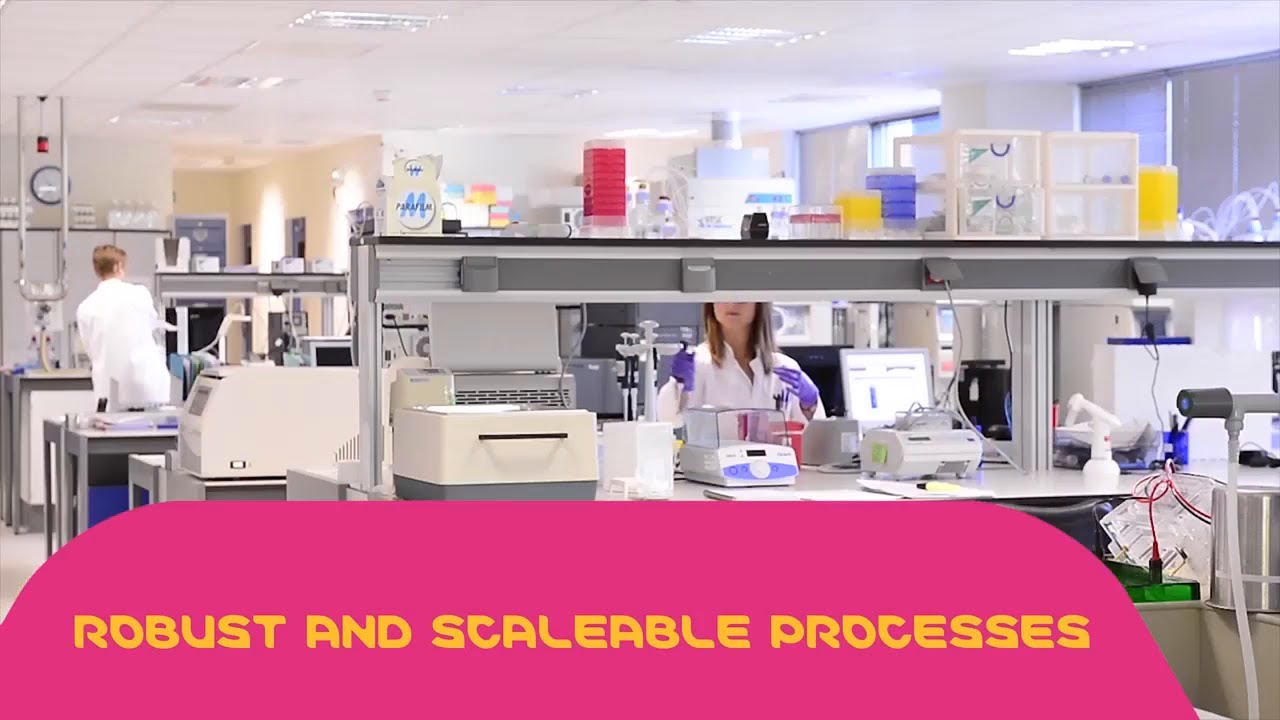 Accelerate with the right development: Clinical mAb supplies - YouTube