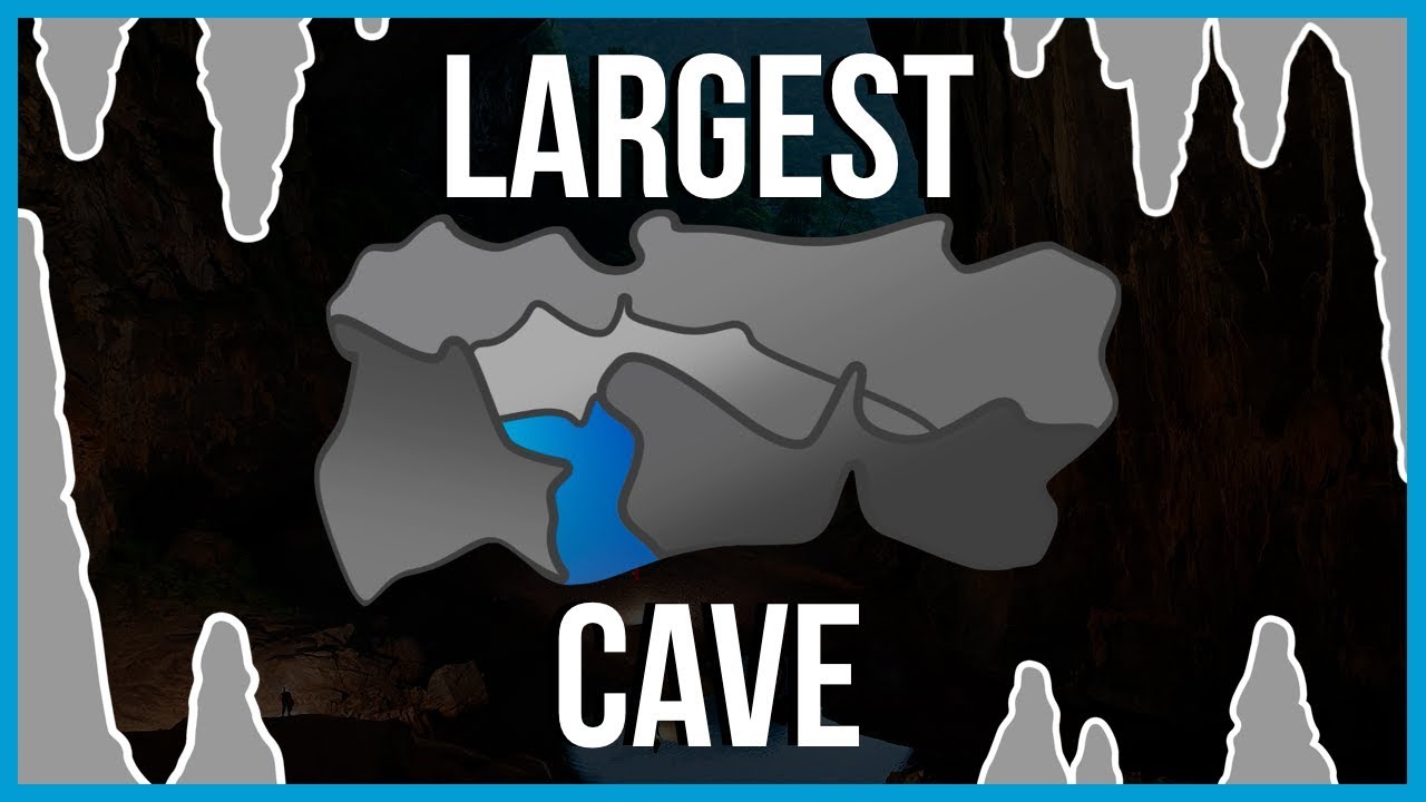 The Cave with Its Own Ecosystem - YouTube