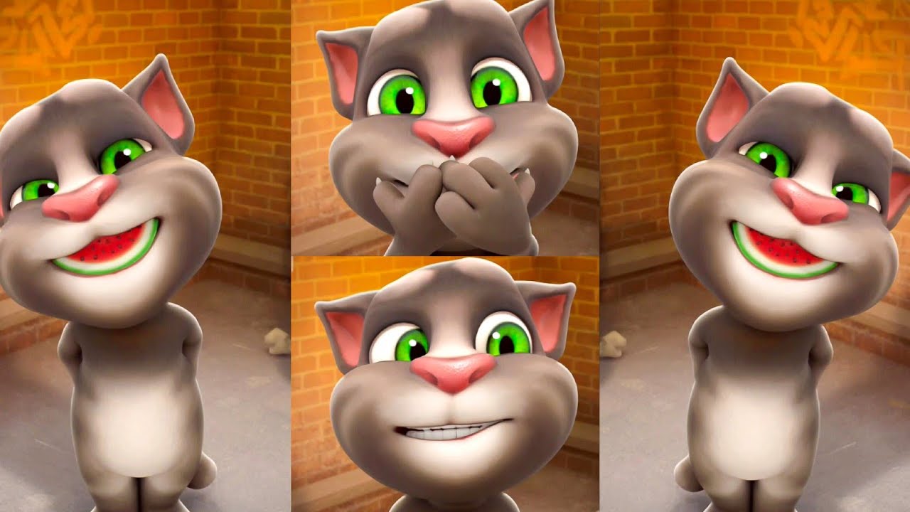 MY TALKING TOM CAT VIDEO | MY TOM CAT EATING 🥝🍅🍑🥭🍐🍐 #tomcatvideo # ...