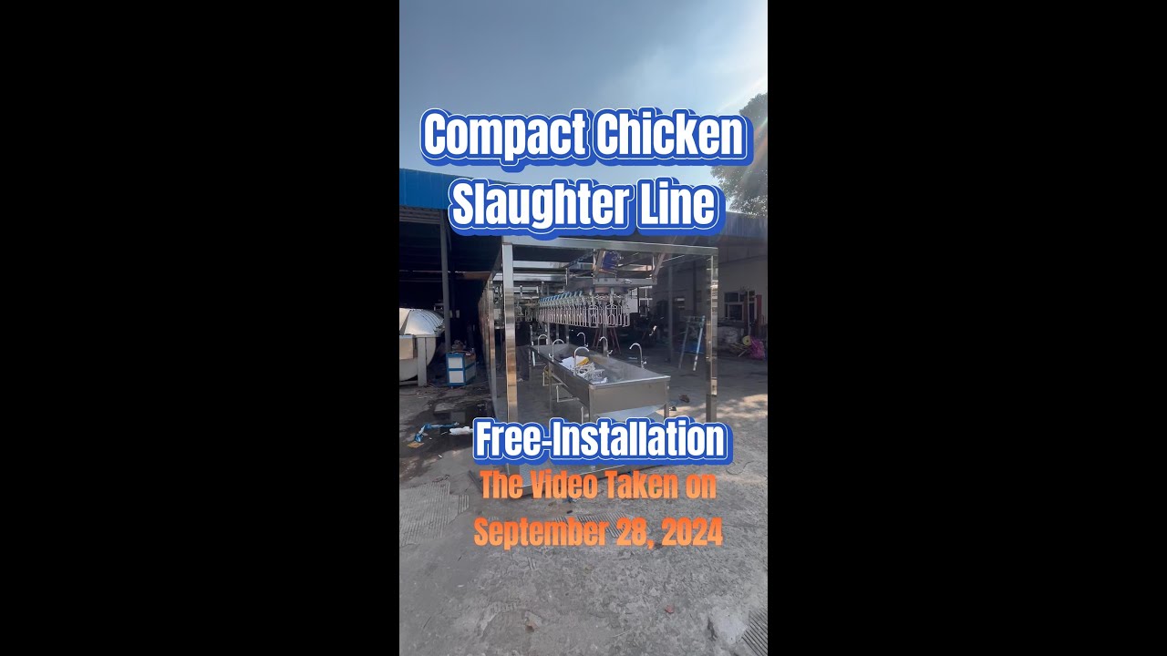 Free installation compact chicken slaughter line made in China - YouTube