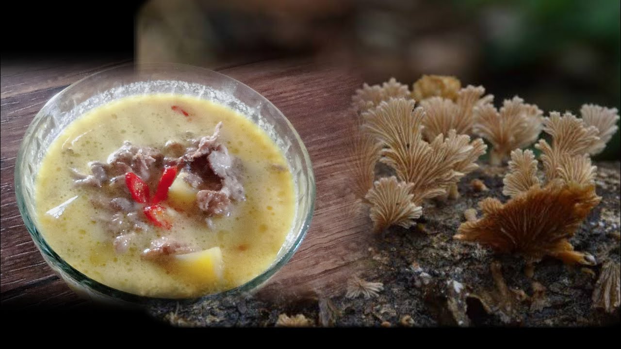 BEGINI CARA MENGOLAH JAMUR KAYU || SANGAT MUDAH RASANYA ENAK - YouTube