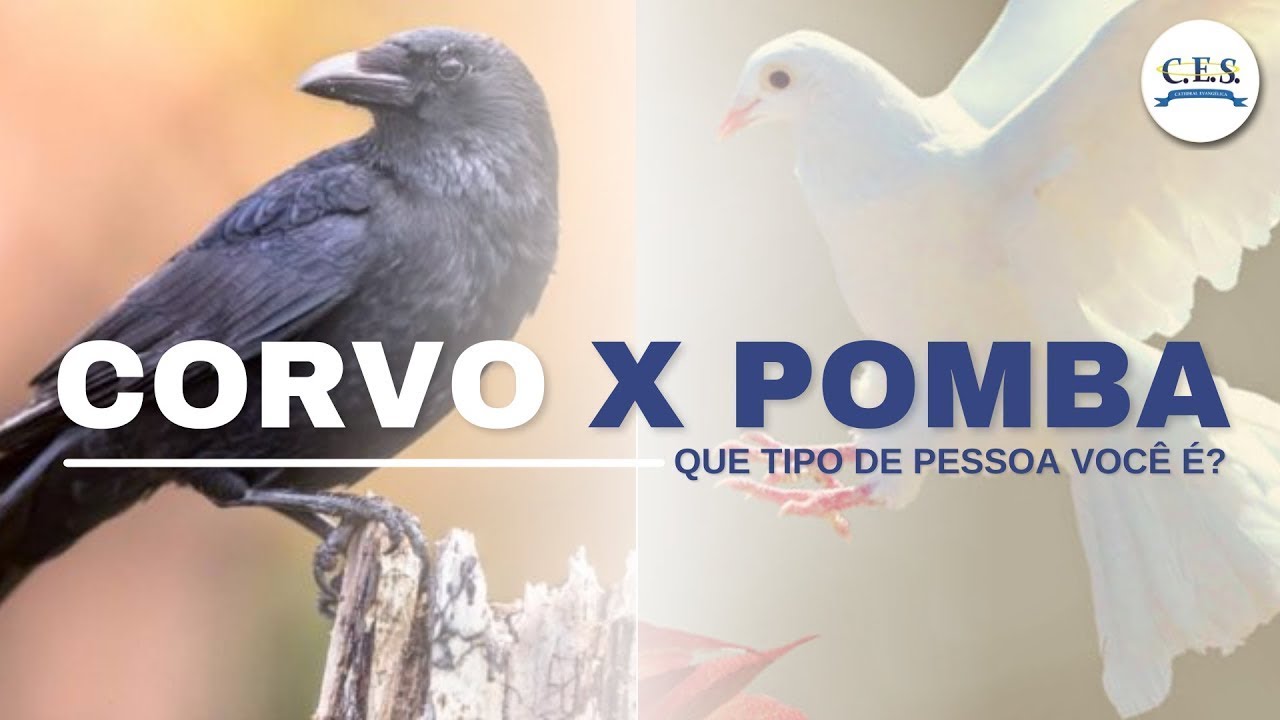 O CORVO E A POMBA NA BIBLIA - YouTube
