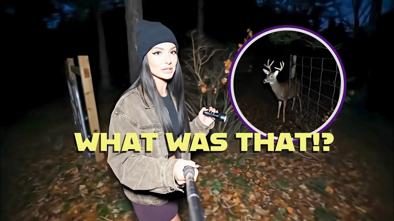 Spooky Midnight Adventure Walk | VEO 3 Video - YouTube
