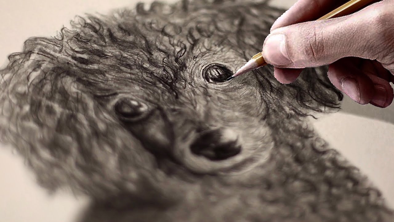 I Drew a Realistic Dog | Timon's Drawings SE1 E7 - YouTube