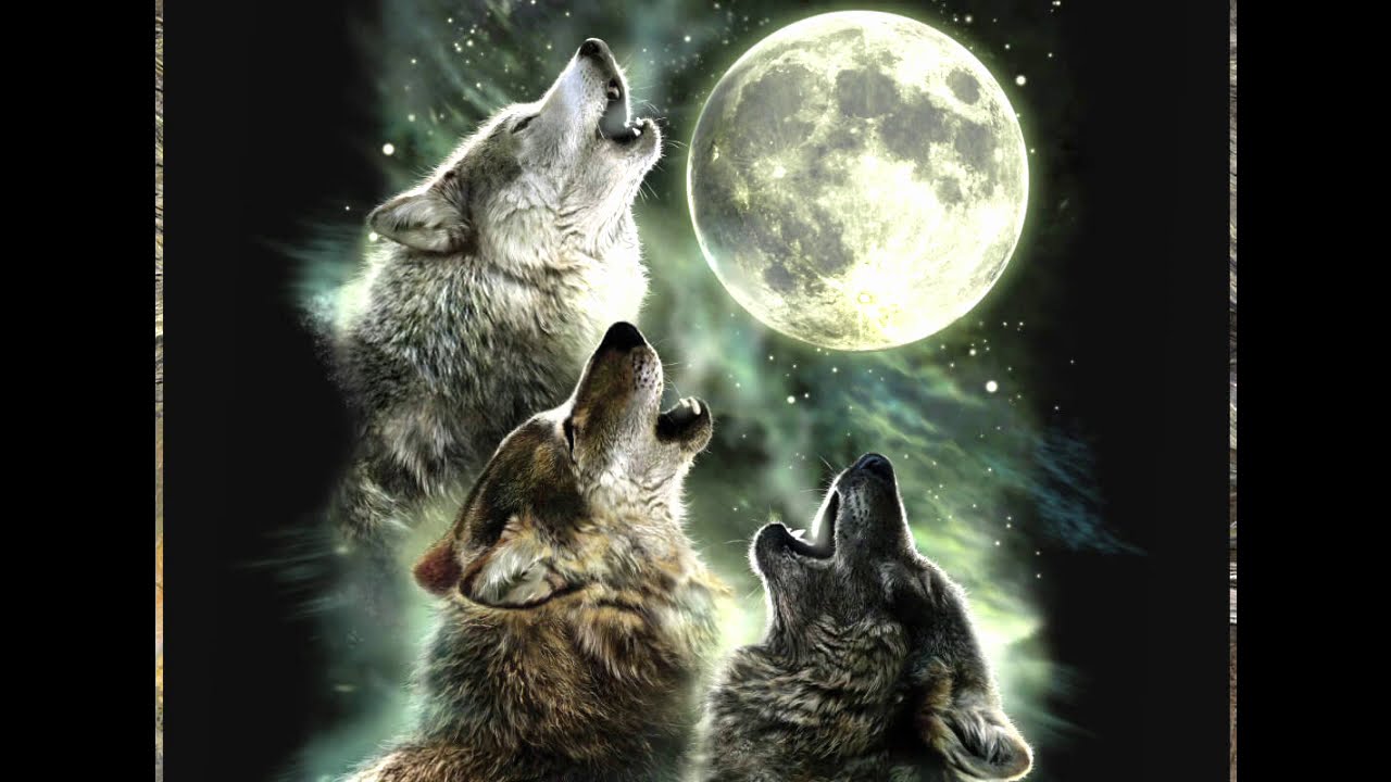 three wolf moon - YouTube