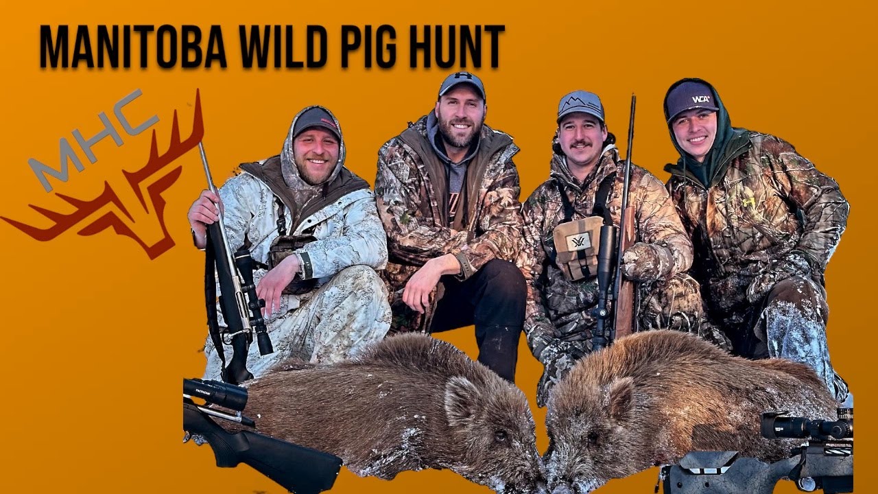 MHC - Manitoba Wild Pig Hunt - YouTube