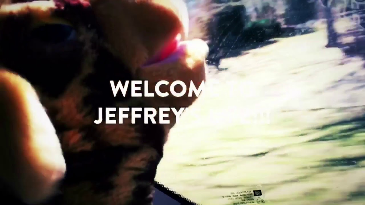 Jeffrey: A giraffe story - YouTube
