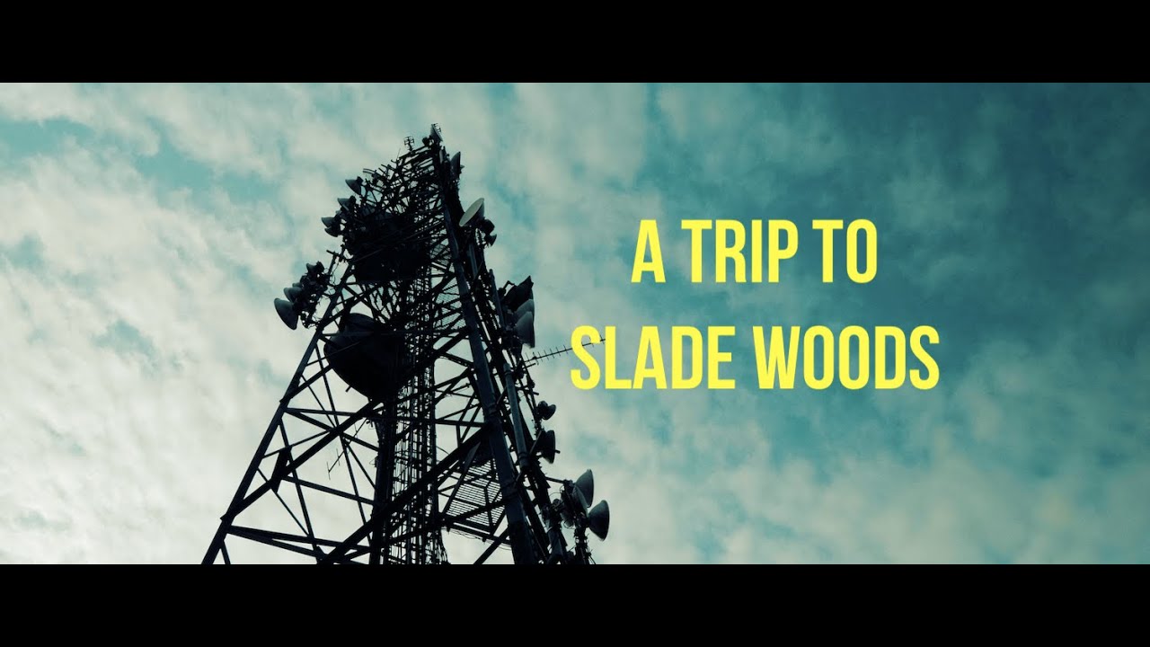 A Trip to Slade Valley Woods | VW California - YouTube