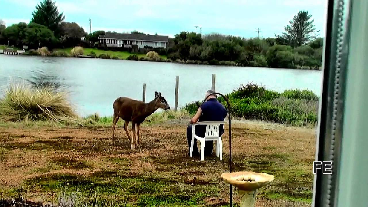 Old Limpy # 3 - 3-1-2014 - YouTube