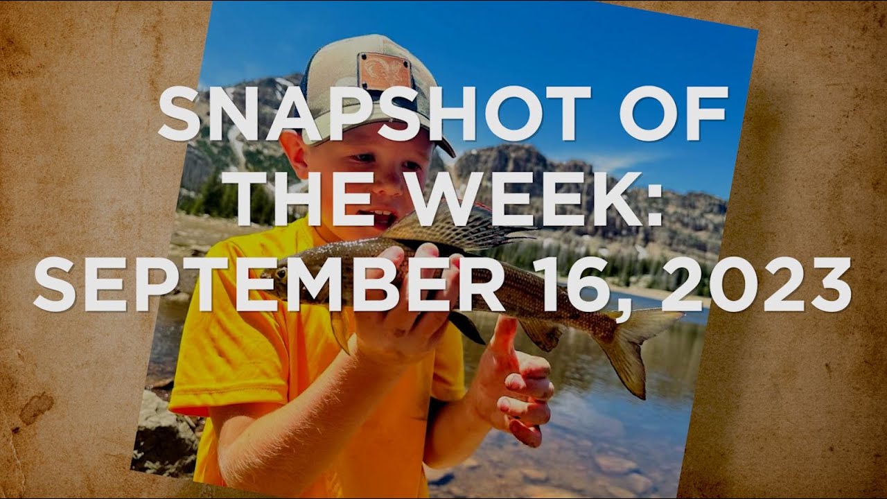 Snapshot of the Week: September 16, 2023 - YouTube