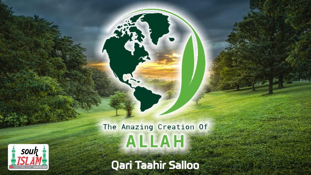 The Amazing Creation Of Allah | Qari Taahir Salloo - YouTube