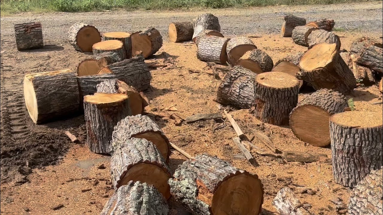 Firewood Fun in the woodyard! #417 - YouTube