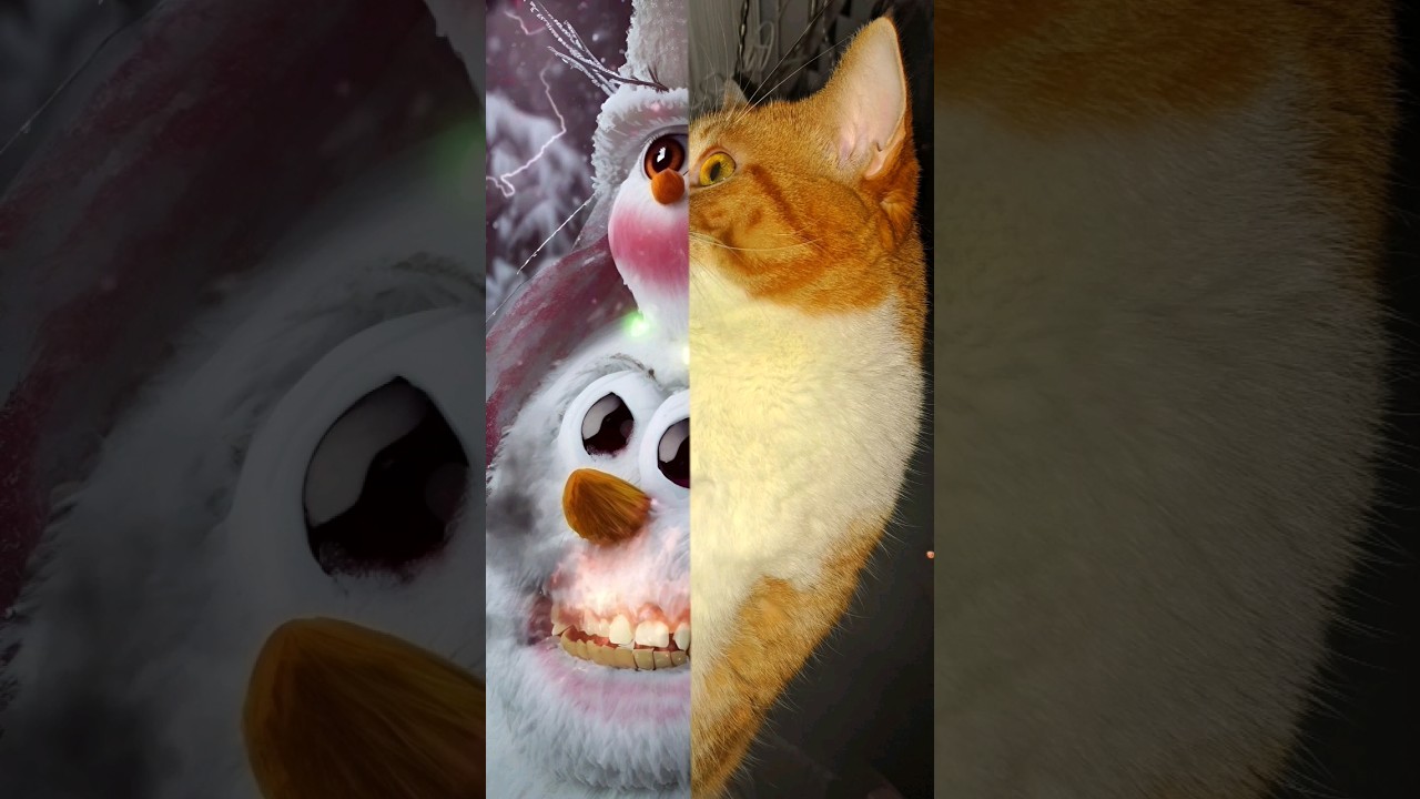 ginger cat cursed frosty the snowmen #shorts - YouTube