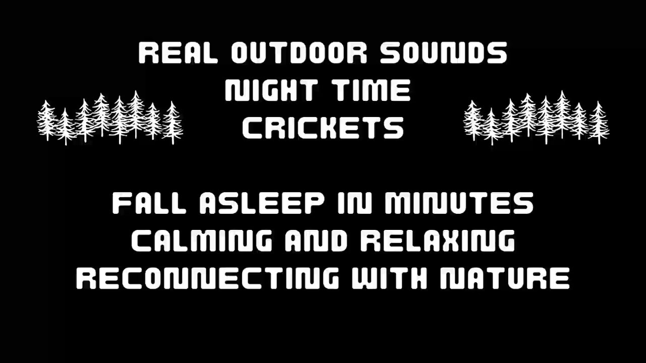 3 Hour Black Screen Real Outdoor Night Time Cricket Sounds - YouTube
