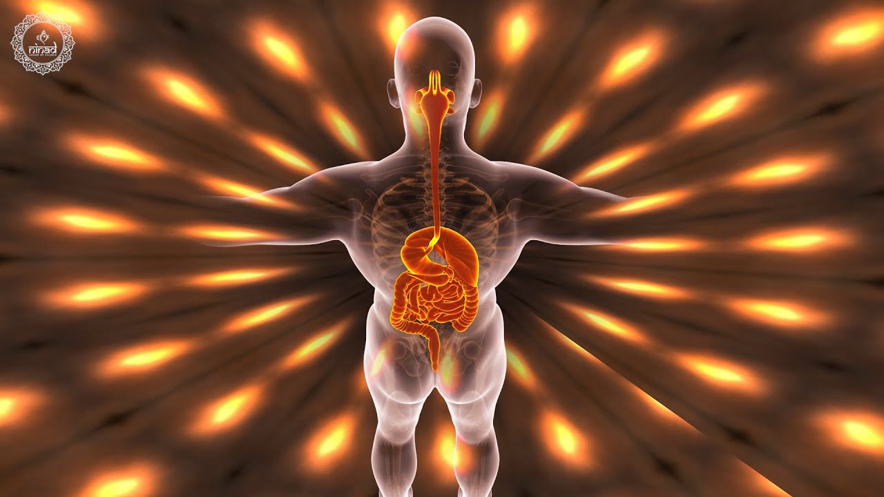 Repair Damaged To The Body Organs Cells & Tissues | 285 Hz | Boost ...