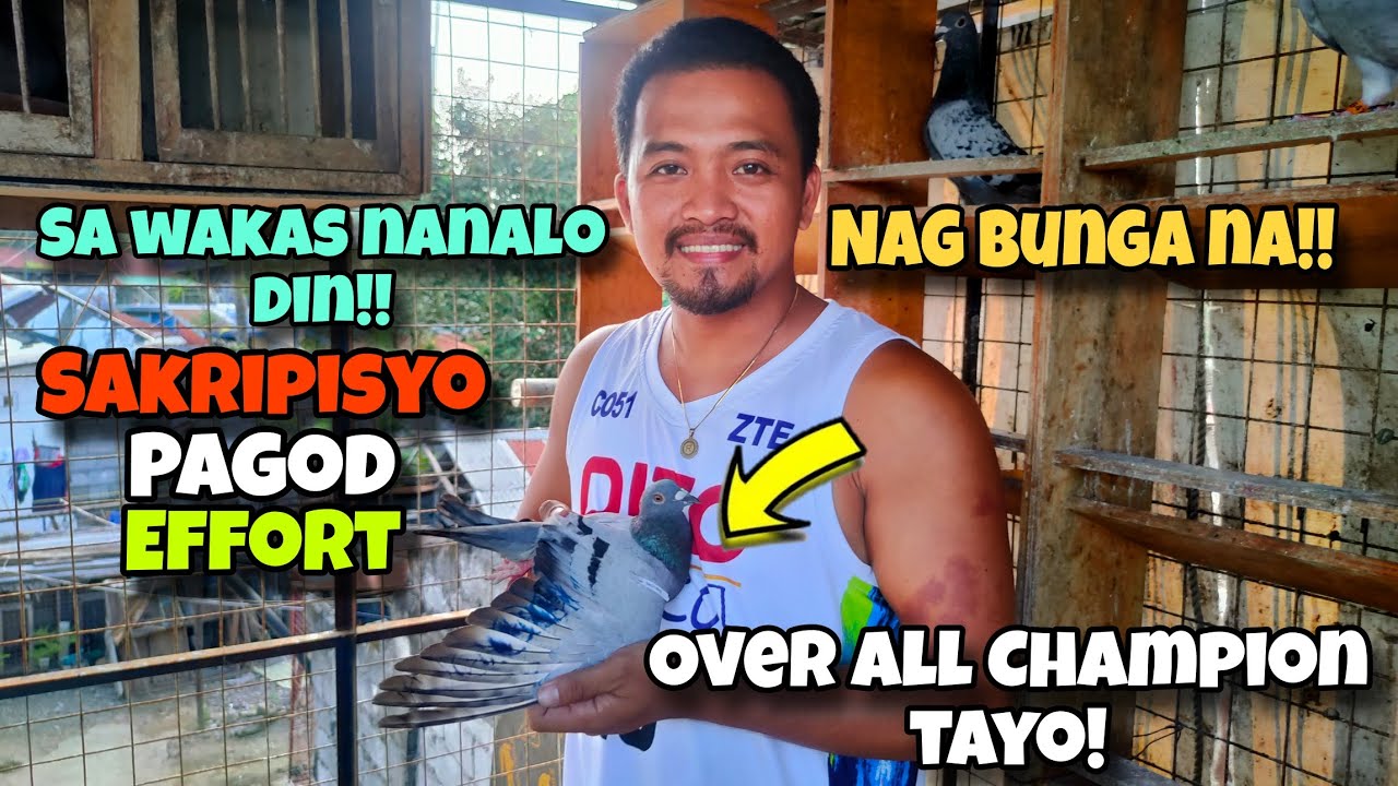 CHAMPION TAYO! | ARRIVAL OF MY OVERALL CHAMPION BIRD FROM STA ANA ...