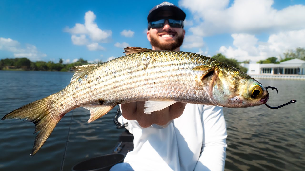 Tossing BIG Baits For Florida's Trophy Fish!!! (My Best Day Ever) - YouTube