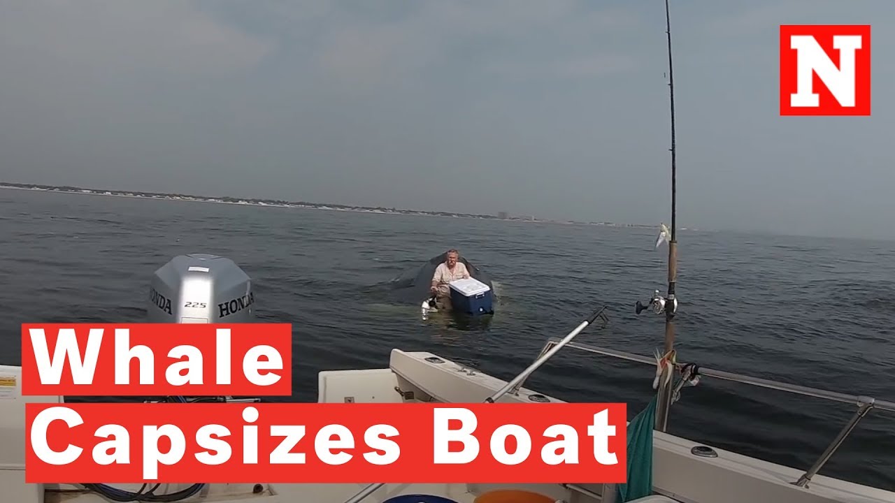 Whale Capsizes Fisherman’s Boat Off New Jersey Coast - YouTube