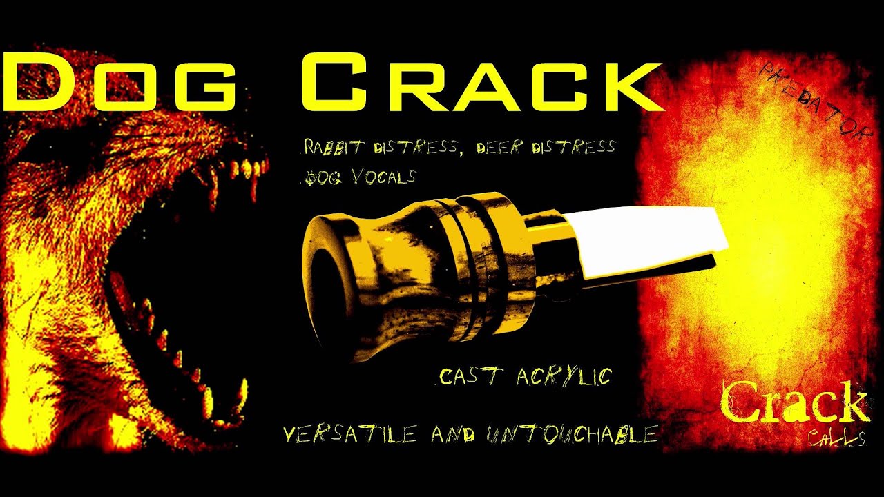 Dog Crack, Crack Calls - YouTube