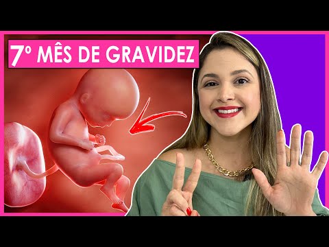 7 MESES DE GRAVIDEZ - SEMANAS 28, 29, 30, 31