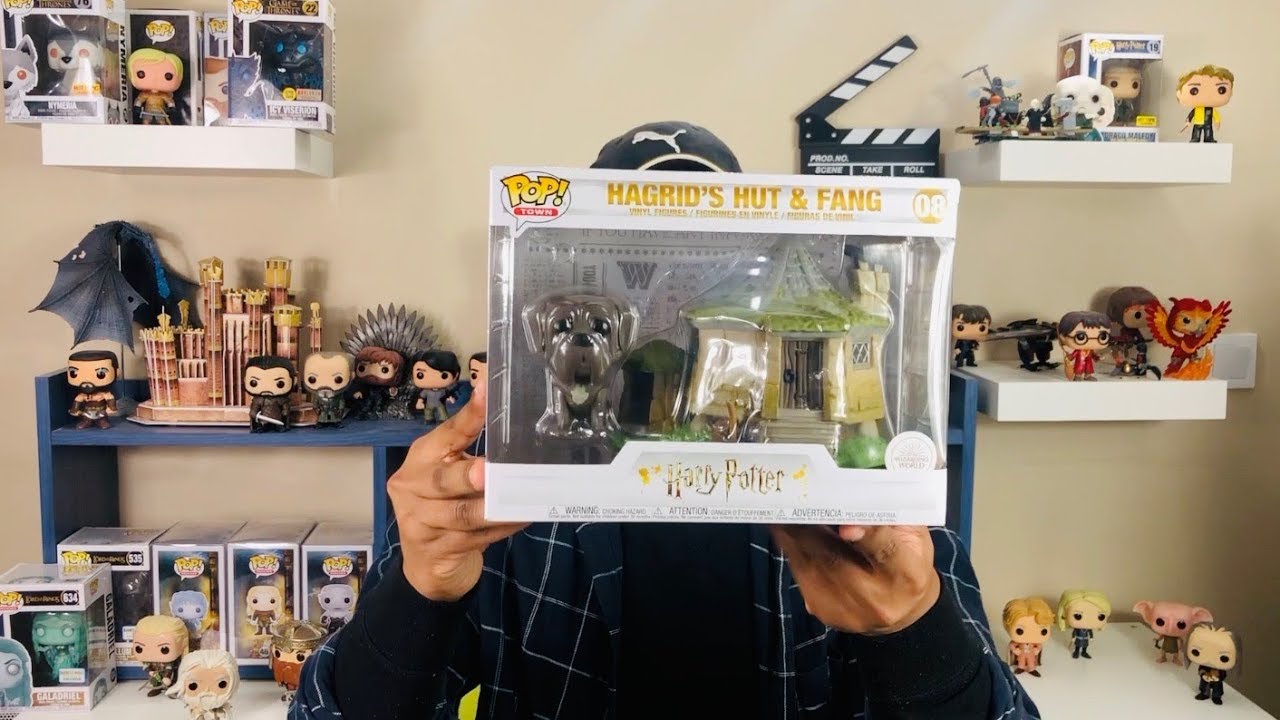 DEUX MAGNIFIQUES FUNKO POP HARRY POTTER ! - YouTube